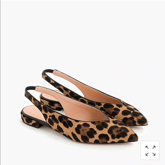 J. Crew | Shoes | Pointedtoe Slingback Flats In Leopard Calf Hair ...